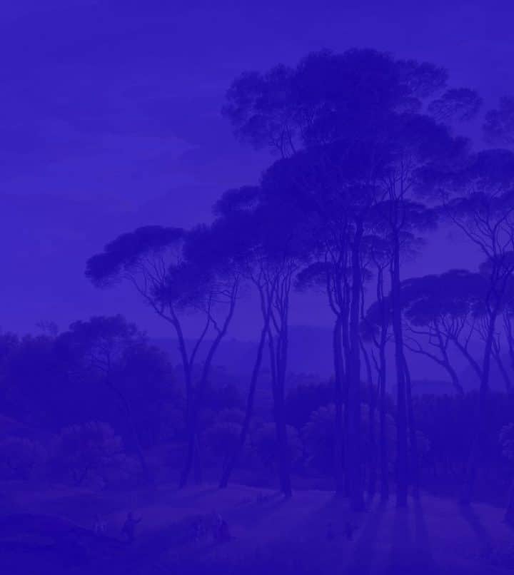 Wikimedia Commons – Die fabelhafte Welt der Bilder und Klänge - Wikimedia